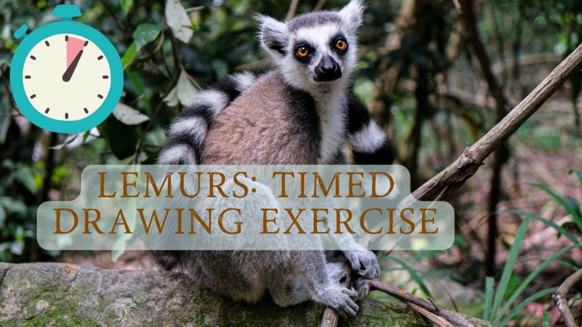 Sketchbook – Drawing Practice – Timed Owl Drawings – Susanne Rose Art