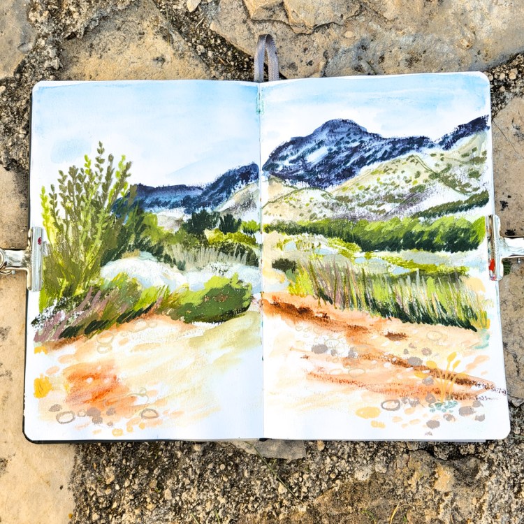 Sketchbook Catch-Up – Susanne Rose Art
